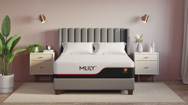 MLILY ChiroPro 3.0 Mattress | Chiropractor-Approved Plush Comfort ...